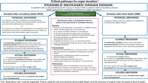 The Critical Pathways For Dbd And Dcd As Published By The World Health Download Scientific