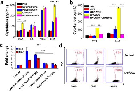 Lipopolyplex Potentiates Anti Tumor Immunity Of Mrna Based Vaccination