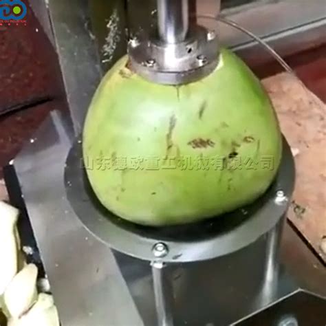 全自动马来西亚椰子剥皮机 海南青椰子削皮机 椰果去皮削皮设备 阿里巴巴