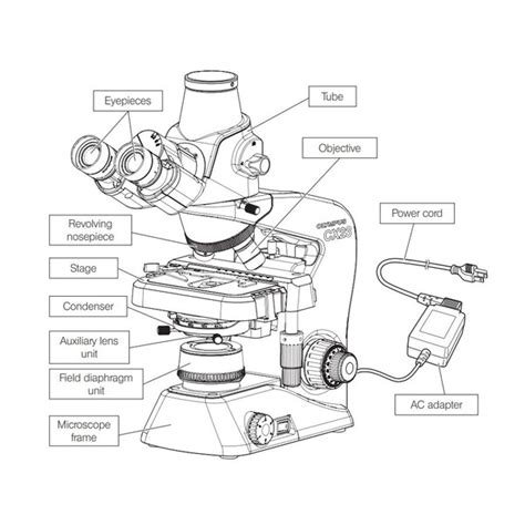 Olympus Microscope Diagram