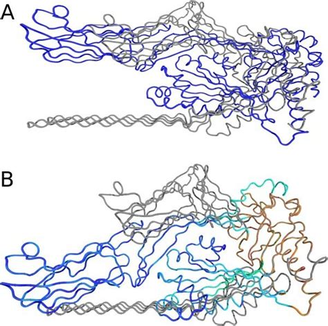 Superpositions Of Pneumolysin Estimated Superposition Of Pneumolysin