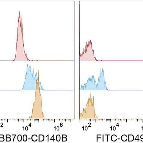 Flow Cytometry Analysis Of Lbm Cells Download Scientific Diagram