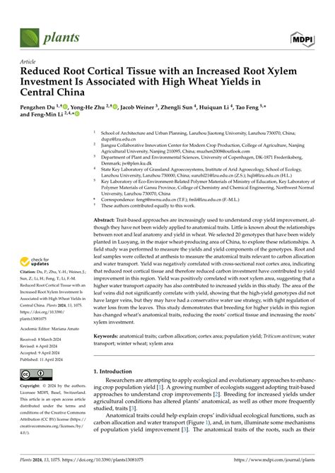 Pdf Reduced Root Cortical Tissue With An Increased Root Xylem
