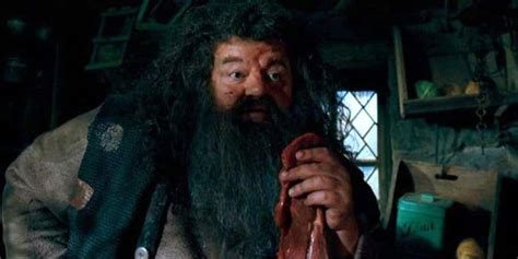 Things You Probably Didnt Know About Hagrid