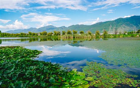 Concurso Inpp Cebraspe é A Banca • Notícias E Atualizações