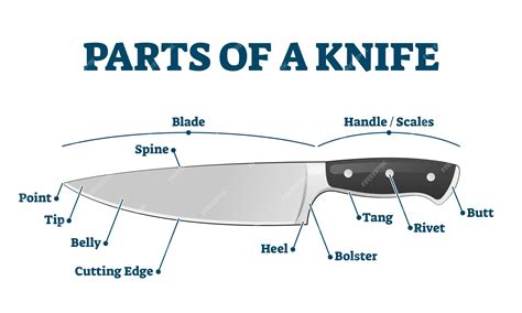 Label The Parts Of A Knife At Warren Brooks Blog