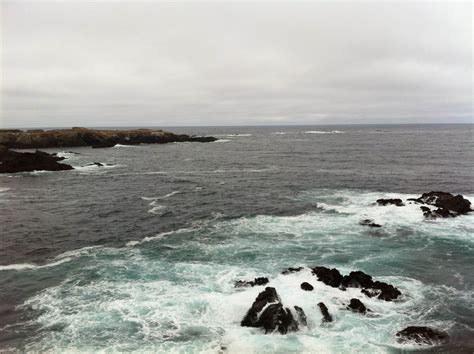 Van Damme State Park Campground Mendocino Ca