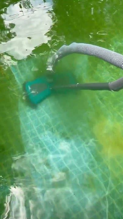 Pool Clening Youtube