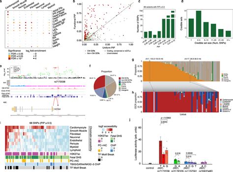 Statistical Fine Mapping Of Loci Associated With The Af Risk A Log2