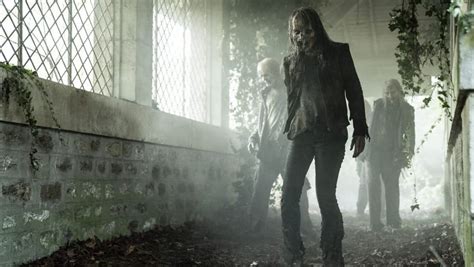 The Walking Dead Daryl Dixon Reveals New Dangerous And Deadly Walkers