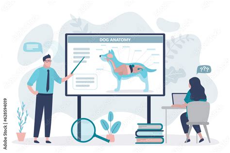 Lesson About Dog Anatomy At University Teacher Talks About Internal