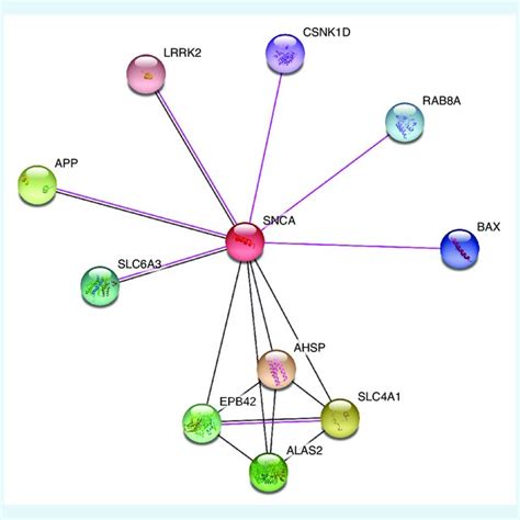 α Synuclein And Limited Interacting Proteins Obtained From String