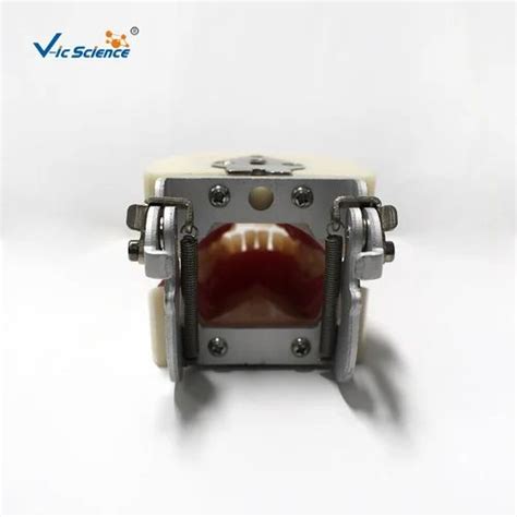 Physician Certified Tooth Extraction Model At ₹ 1849719 Kammanahalli