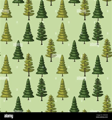 Repeating Pattern Of Various Evergreen Trees Stock Vector Image And Art