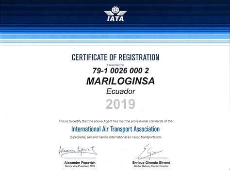 International Air Transport Association Iata Mariloginsa