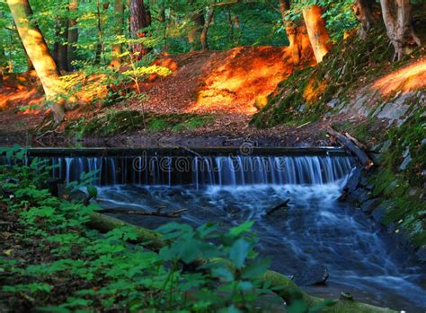 Bach In Wald Mit Wasserfall Stockbild Bild Von Dämmerung Reflexion
