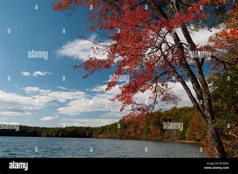 Walden Pond In Concord Ma Is The Setting Of Henry David Thoreaus