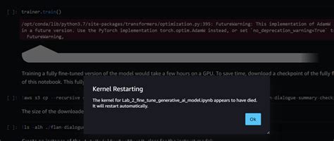 Kernel Dies During Trainertrain And Unable To Complete The Lab