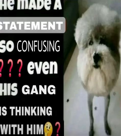 He Made A Statement So Confusing Even His Gang Is Thinking With Him
