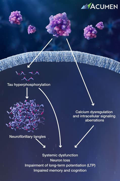 Alzheimersawarenessmonth Endalz Acumen Pharmaceuticals Inc