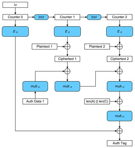Px Gcm Galois Counter Mode With Iv Svg Dhole Moments