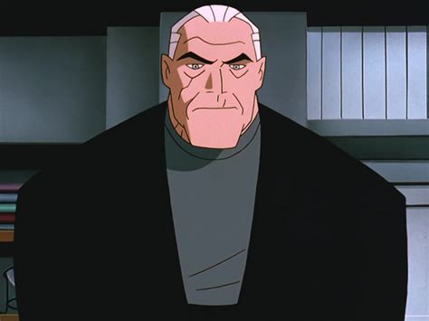 23 Old Bruce Wayne Batman Beyond