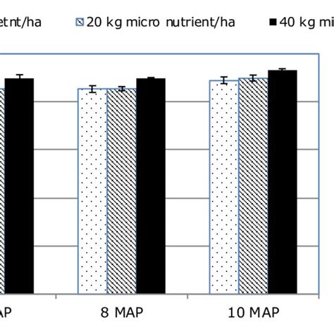 The Starch Content Of Cassava Storage Root At Different Harvest Age Download Scientific Diagram