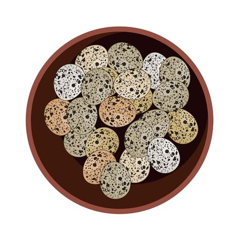 Premium Vector Indonesian Quail Egg Vector Design