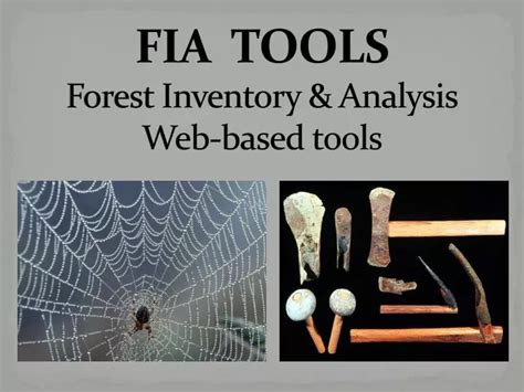 Ppt Fia Tools Forest Inventory And Analysis Web Based Tools Powerpoint
