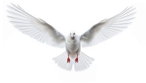 Premium Ai Image Bird Flying Isolated On White Background