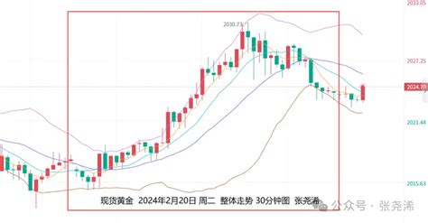 张尧浠：聚焦美联储会议纪要、黄金继续关注通道趋势 脉脉
