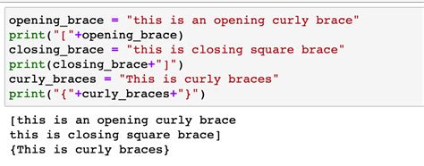 How To Print Brackets In Python Askpython