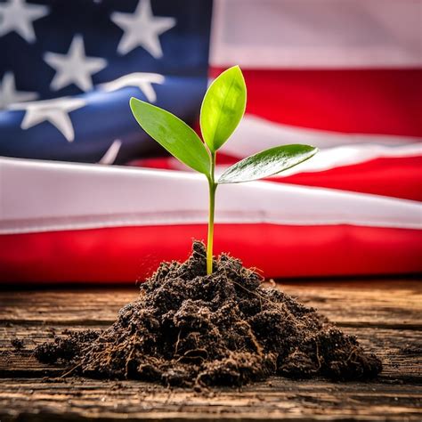 Flag Growing Images Free Download On Freepik