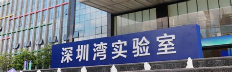 深圳湾实验室介绍 深圳湾实验室分子生理学研究所