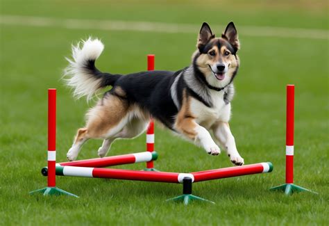 Norwegian Lundehund Character Health Feeding Price And Care