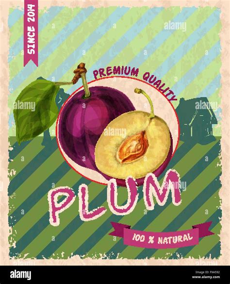 Plum Retro Poster Stock Vector Image And Art Alamy