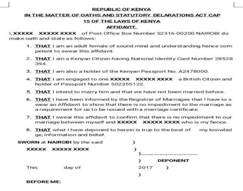 Affidavit Rayness Analytica I Professional Services Marketplace