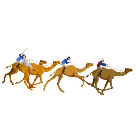 Camel Racing Illustrations Royalty Free Vector Graphics And Clip Art