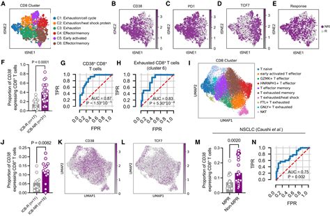 Overcoming Resistance To Immunotherapy By Targeting Cd38 In Human Tumor