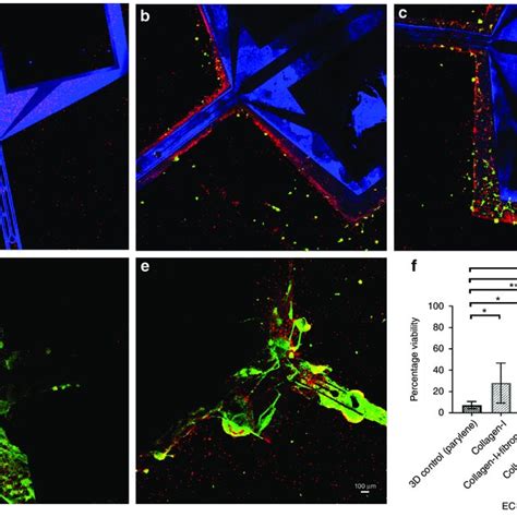 Pdf Microfabricated Intracortical Extracellular Matrix