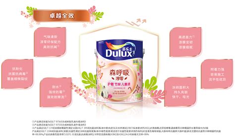 Humin P6 Content Big 多乐士焕新服务