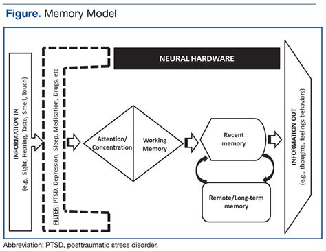 Memory Skills Classes To Address Cognitive Concerns In Older Veterans