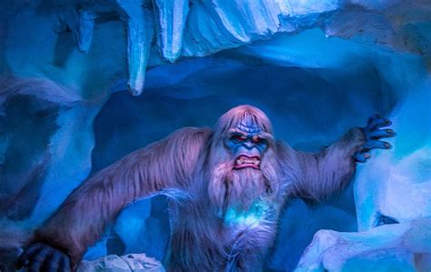 Matterhorn Disneyland Yeti Multiple Disneyland Rides Closed