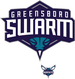 Download Zoon Charlotte Hornets Logo Sports Logos Sports Teams