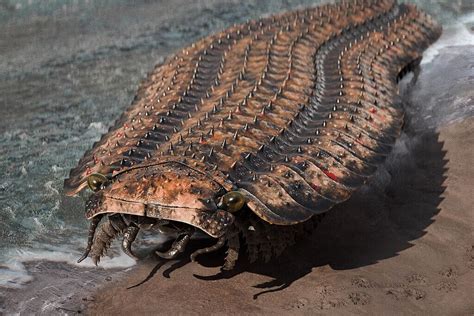 Prehistoric Insects List