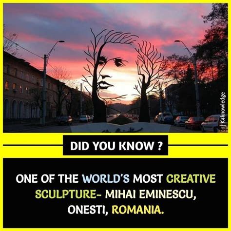 Did You Know Fun Facts About Life True Interesting Facts