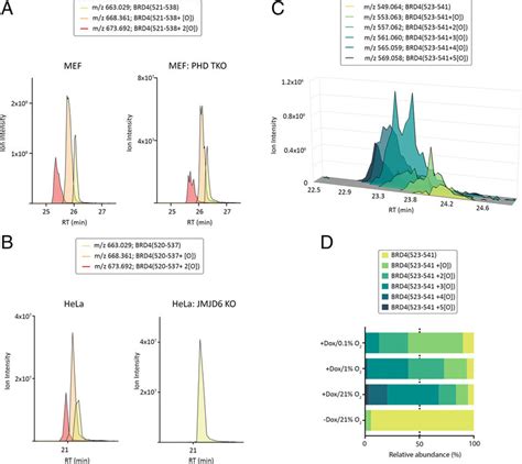 Oxygen Dependent Hydroxylation Of Brd4 By Jmjd6 A Xics Show Peptide