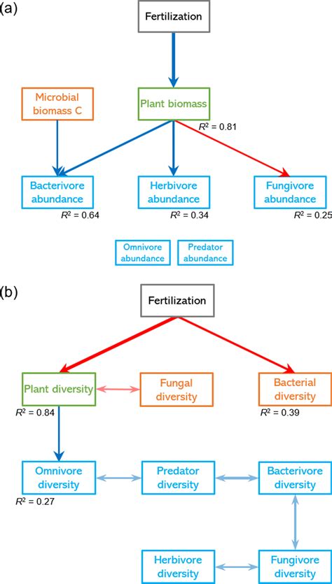 Structural Equation Models Exploring Direct And Indirect Effects Of