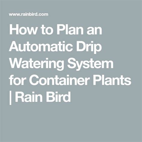 How To Plan An Automatic Drip Watering System For Container Plants