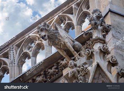 Gothic Architecture Gargoyles